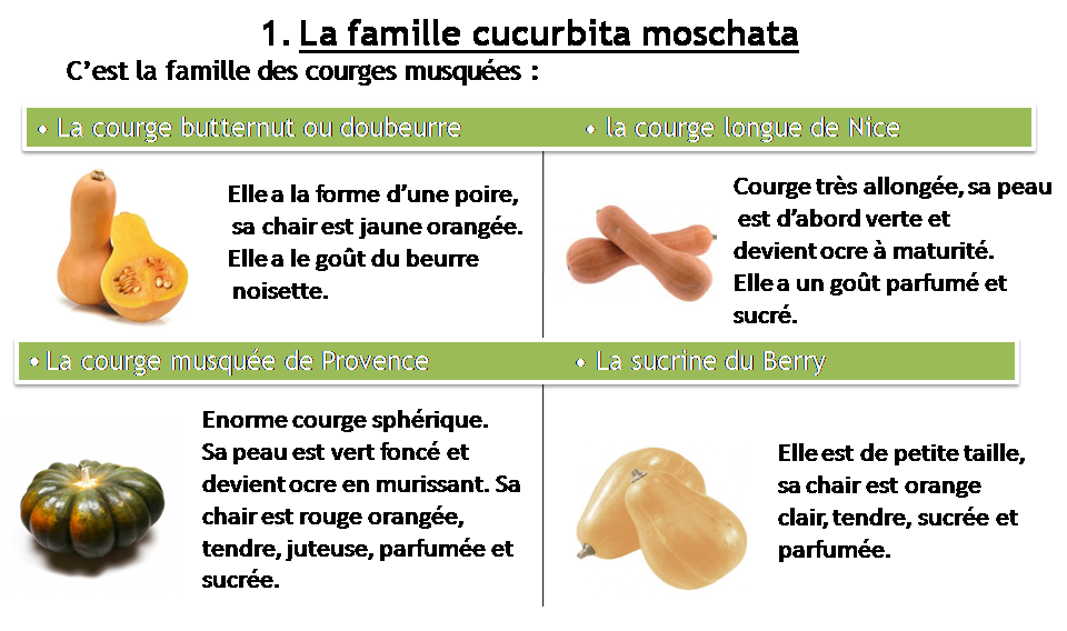 Les courges, incontournables en automne (partie 1)