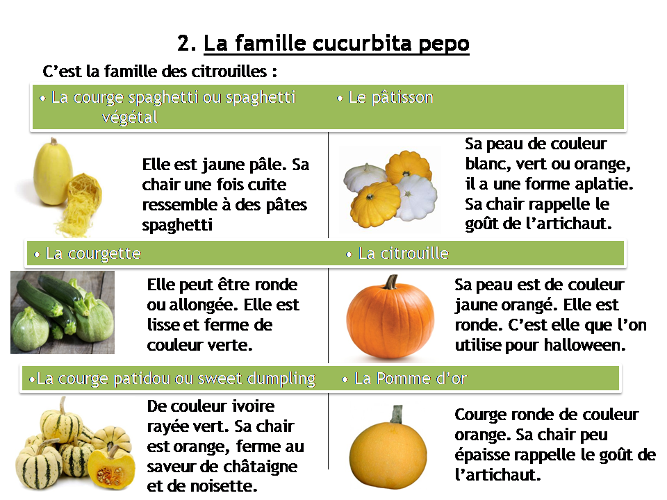 Les courges, incontournables en automne (partie 1)