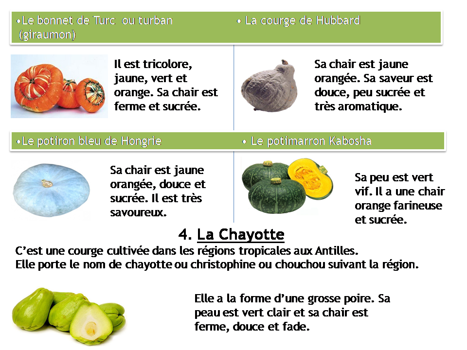 Les courges, incontournables en automne (partie 1)